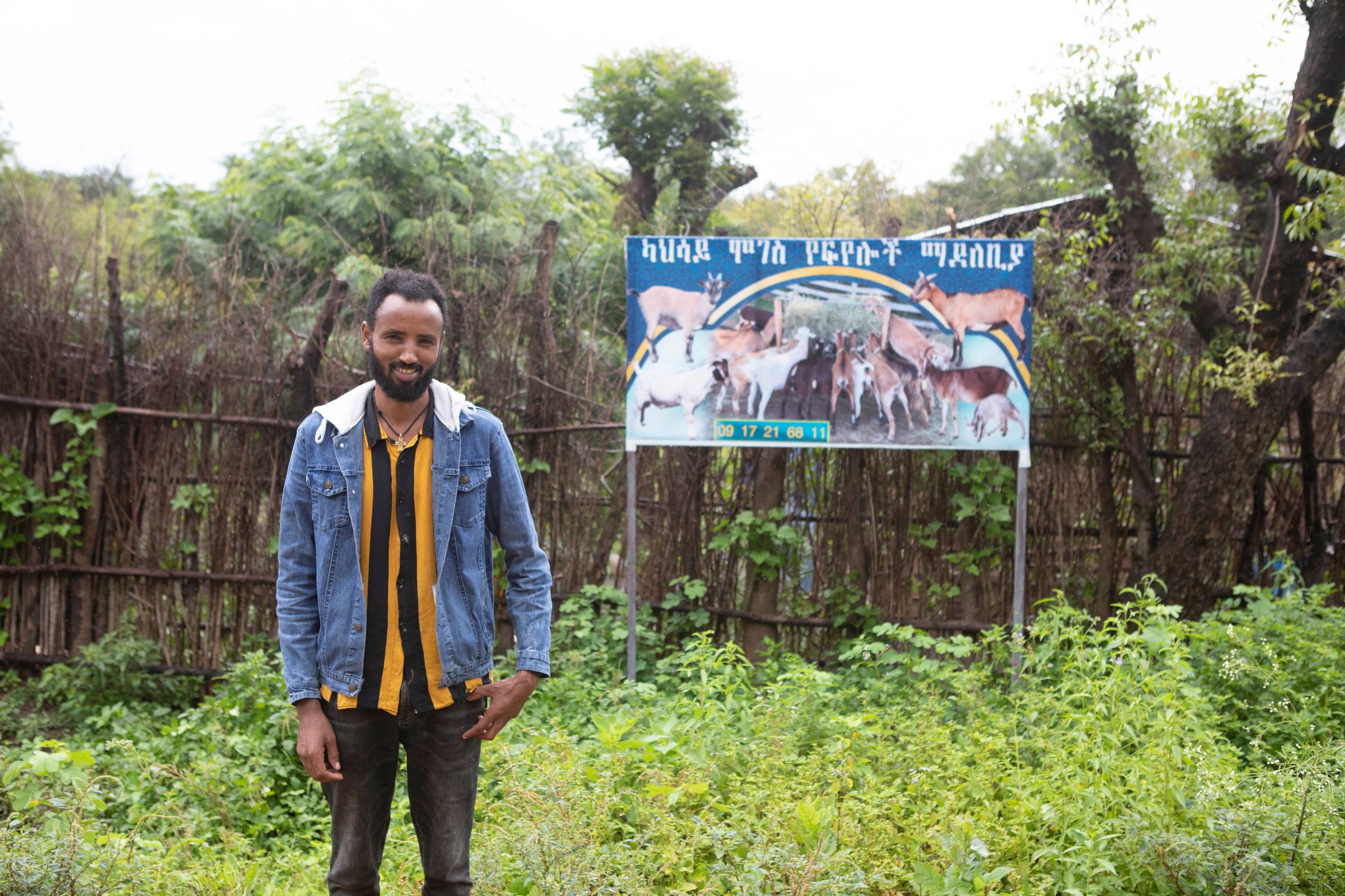 Making Markets Work for Refugee and Host Communities in Ethiopia · DAI ...
