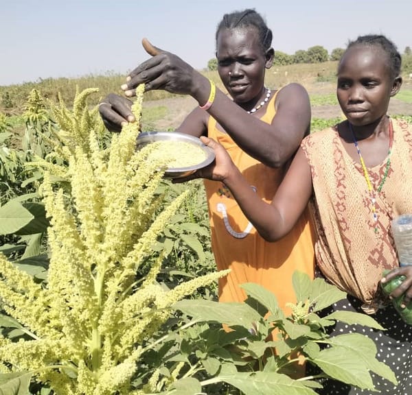 Community Seed Production: A Pathway for Building Resilience in South ...