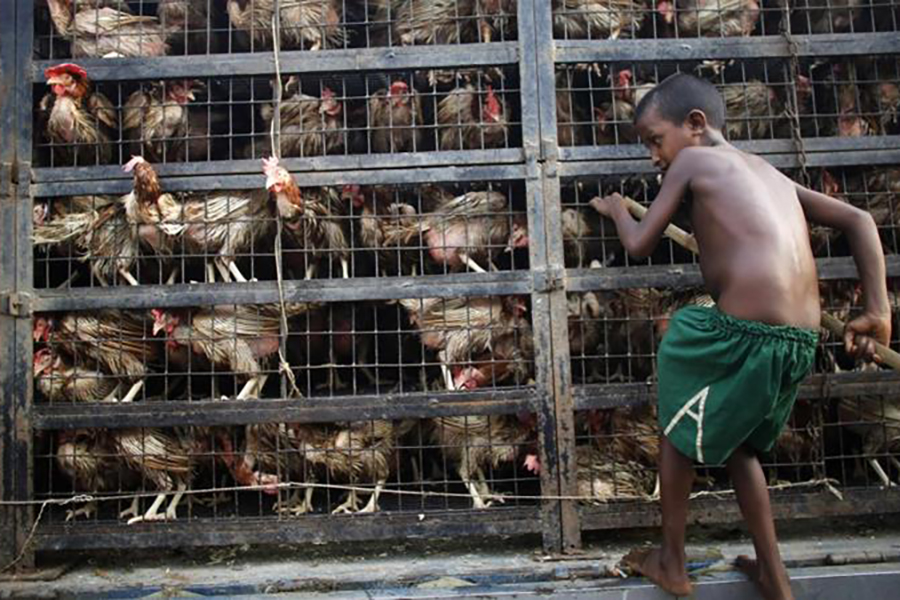 Q&A with DAI’s Susan Scribner: Preparedness, Response, and Global ...